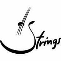Strings Co. LTD | templeaudio.com